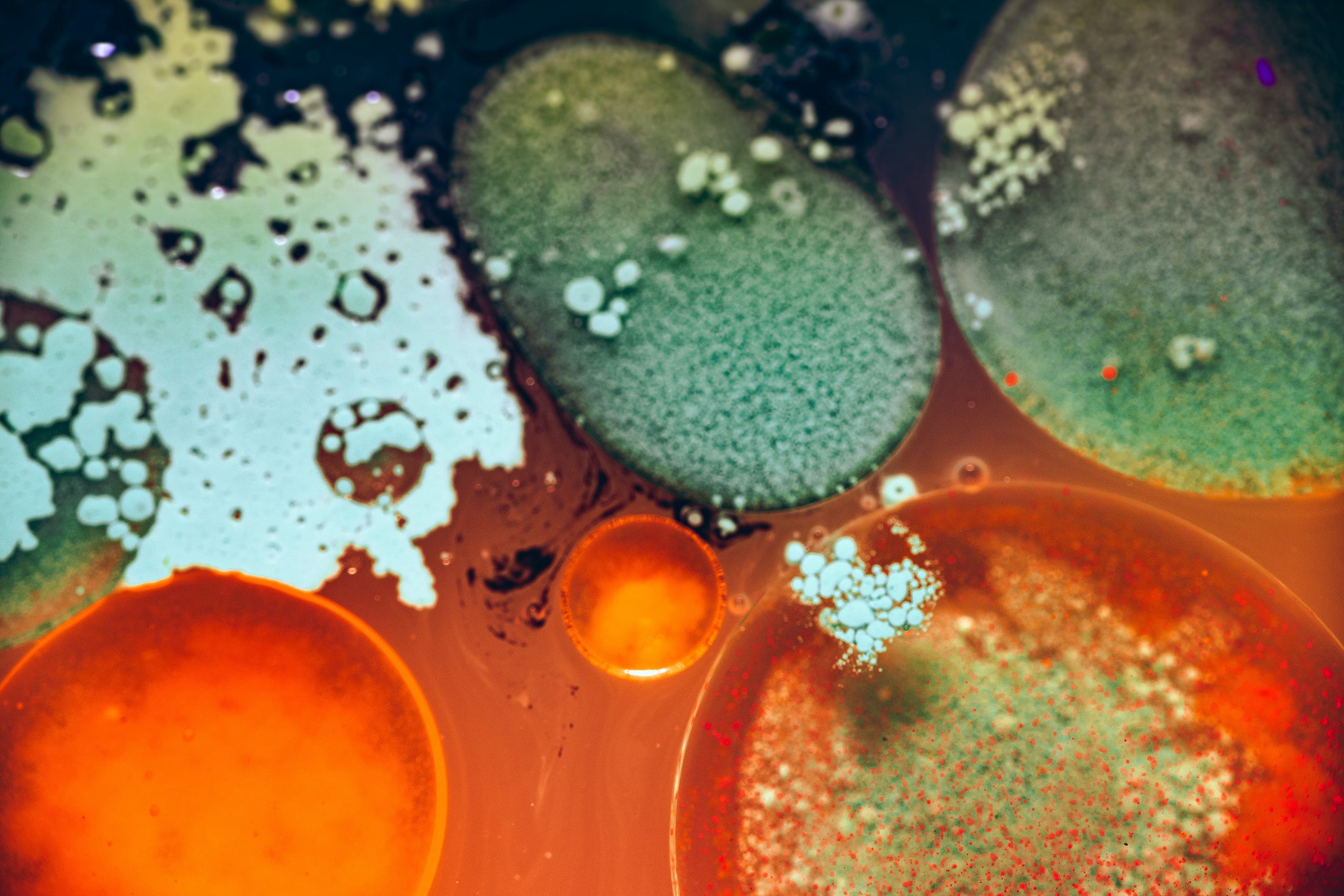 Germ Theory – Enviromedica