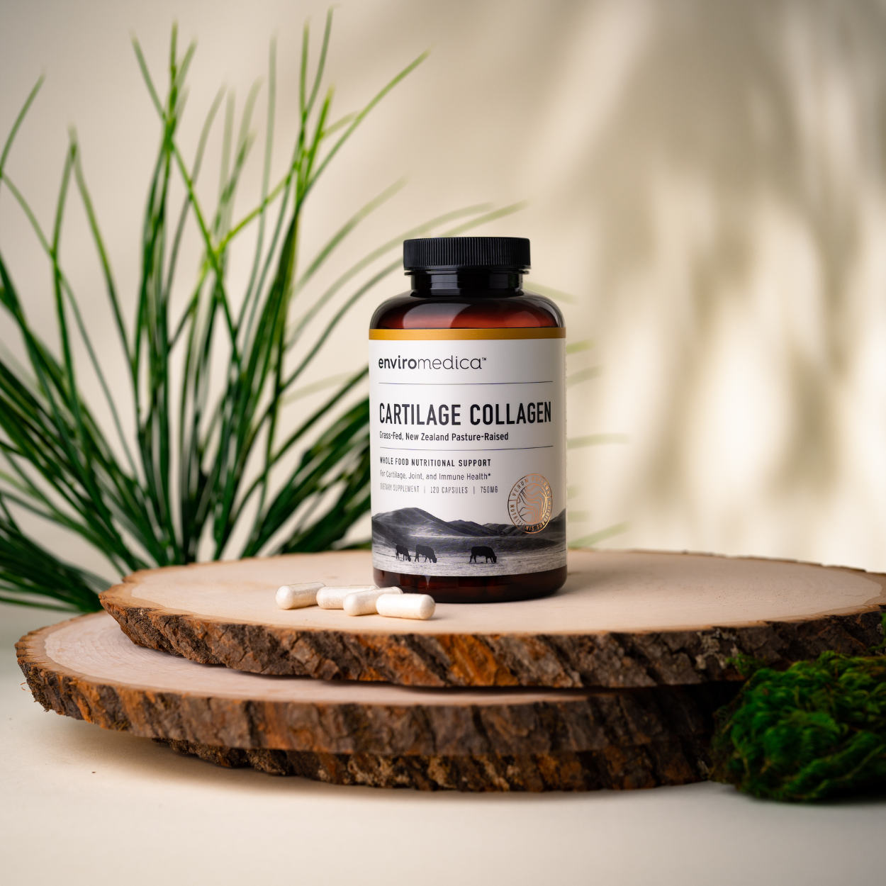 Grass-Fed Cartilage Collagen Supplement | Enviromedica